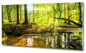 Wallmuralia Foto obraz sklo tvrzené Rybník v lese 100x50