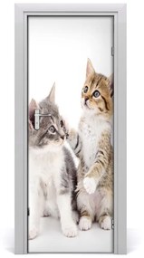 Samolepící fototapeta na dveře Dvě malé kočky 75x205 cm