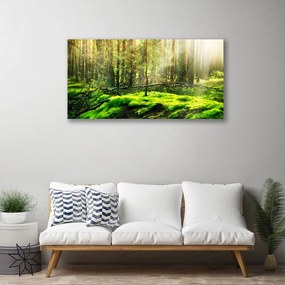 Obraz na plátně Mech Les Příroda 120x60 cm