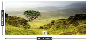 Fototapeta Isle of Skye Skotsko 104x70