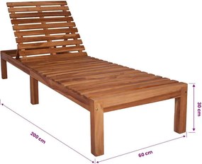 Zahradní lehátko masivní teak 316171