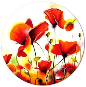 Kulatý obraz Červené máky - louka plná květů zahalených ranním sluncem