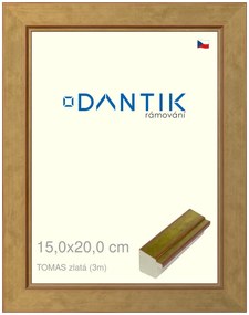 DANTIK rámeček 15x20 | TOMAS zlatá (Sklo Čiré)