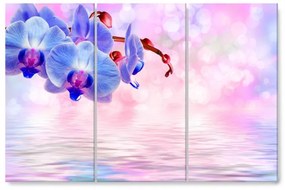 Malvis ® Vícedílný obraz - Modrá orchidej Velikost: 150x100 cm