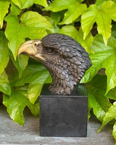 Bronzová socha soška HLAVA ORLA