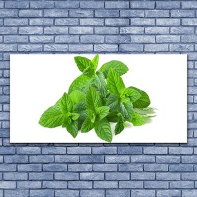 Plexisklo-obraz Máta Rostlina Příroda 120x60 cm