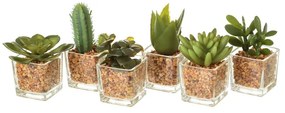 Umělé rostliny v sadě 6 ks (výška 8 cm) Cactus – Casa Selección