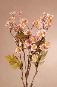 Paramit DRY MINI DAISY Aranžovací květina růžová 61 cm