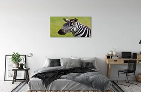 Obrazy na plátně zebra 100x50 cm