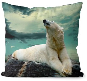 Polštář Lední medvěd (Velikost: 55 x 55 cm)
