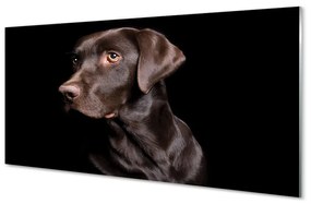 akrylový obraz hnědý pes 120x60 cm