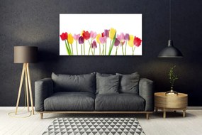 akrylový obraz Tulipány Květiny Rostlina 120x60 cm