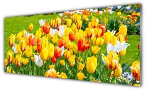 Plexisklo-obraz Tulipány Květiny Příroda 125x50 cm