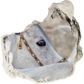 Wallmuralia Díra 3D fototapeta nálepka Bílý arabský kůň 75x75 cm