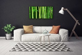 Obraz na plátně Bambusový Les Bambus Příroda 140x70 cm