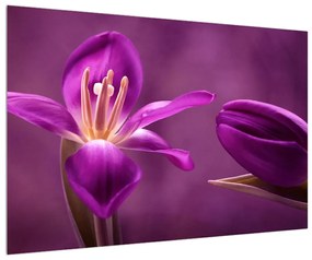 Obraz fialového květu (90x60 cm)