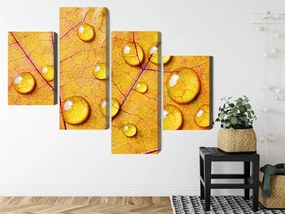 Vícedílný obraz Kapky Vody Na Podzimní Listí Makro Nedostatek Nedostatek Plátno Canvas 120x75