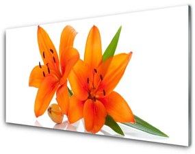 akrylový obraz Oranžové Květiny 120x60 cm