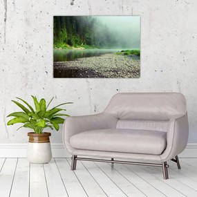Skleněný obraz - Řeka u lesa (70x50 cm)