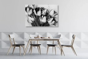 Obraz jarní tulipány v černobílém provedení Varianta: 60x40