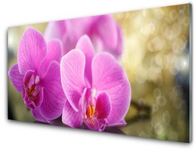 akrylový obraz Květiny Rostlina Příroda 125x50 cm