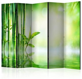 Paraván - Green Bamboo II [Room Dividers]