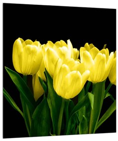 Obraz žlutých tulipánů (30x30 cm)