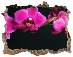 Wallmuralia Samolepící díra nálepka Orchidej 95x64 cm