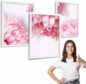 Sada 3 obrazů vzor Květiny růžová bílá rámeček 50x70 na plexi triptych