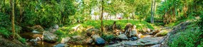 DIMEX | Fototapeta do kuchyně Botanická zahrada KI-260-134 | 260 x 60 cm | zelená, hnědá