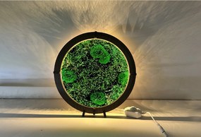 Li-Go "Mechové kopečky" lampa/obraz 31 cm provedení povrchu: dub světlý
