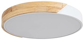 Rabalux | Rabalux 3527 - LED Stropní svítidlo MAPLE LED/24W/230V bílá | RL3527