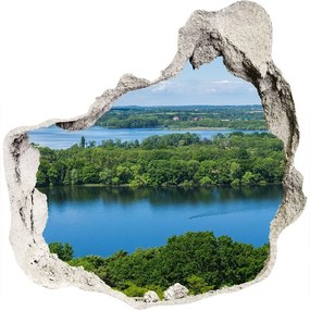 Wallmuralia Nálepka fototapeta 3D výhled Les nad jezerem 75x75 cm