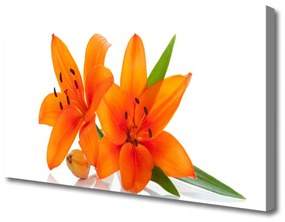 Obraz na plátně Oranžové Květiny 120x60 cm