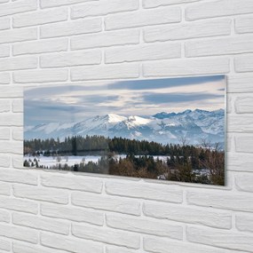 akrylový obraz horské zimní 120x60 cm