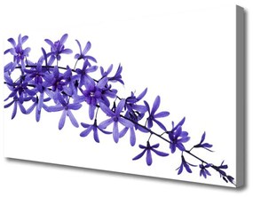 Obraz na plátně Květiny Rostliny Příroda 120x60 cm