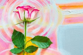 Tapeta růže na plátně - 375x250 cm