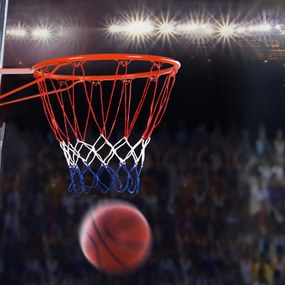 Costway Nástěnný basketbalový koš Profesionální