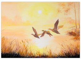 Skleněný obraz - Jeřábi při západu slunce (70x50 cm)