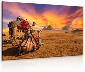 Malvis ® Obraz Egyptská sahara Velikost: 90x60 cm