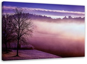 Obraz na plátně Mlha nad Fialovým jezerem - 60x40 cm
