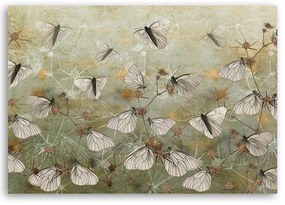 Obraz na plátně, Abstraktní motýli na louce - 60x40 cm