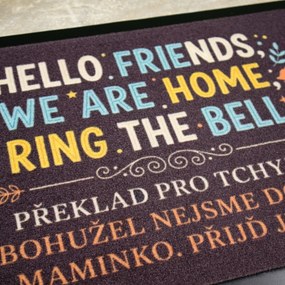 Mercury Flooring, Rohožka HELLO FRIENDS 40x60 cm - na ven i na doma, 40x60, šedá