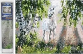 NORIMPEX Diamantové malování Bílý kůň / 30x40 cm