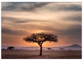 Skleněný obraz západu slunce v Tanzanii (70x50 cm)