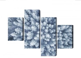 Vícedílný obraz Letecký Pohled Na Zimní Les Nedostatek Nedostatek Plátno Canvas 160x100
