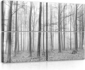 Obraz 120x80 Les v mlze monochromatická krajina, černobílé stromy, příroda