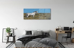 akrylový obraz Unicorn Golf 120x60 cm