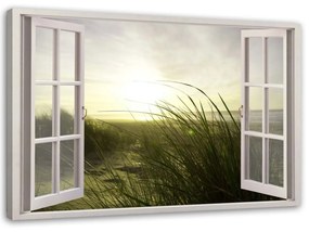 Obraz na plátně Pohled z okna Plážová tráva - 60x40 cm