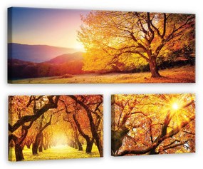 Postershop Obraz na plátně: Podzimní stromy - set 1ks 80x30 cm a 3ks 37,5x24,8 cm